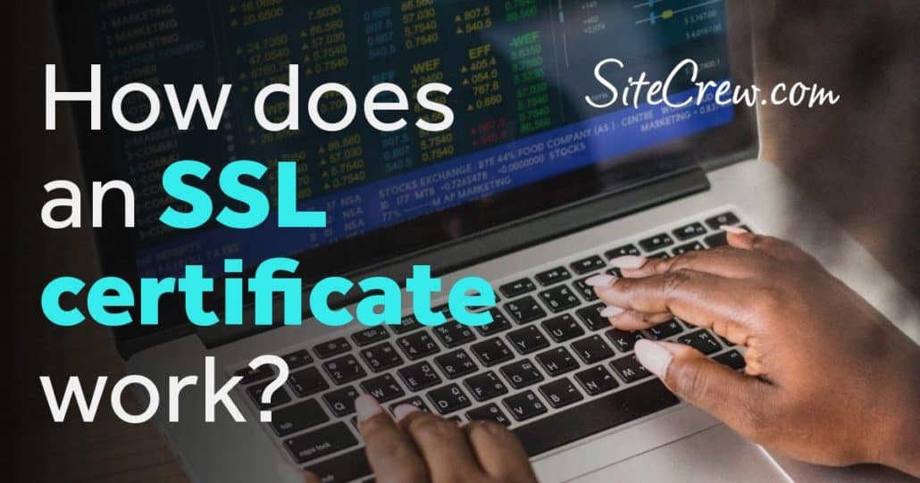 How Does An SSL Certificate Work?